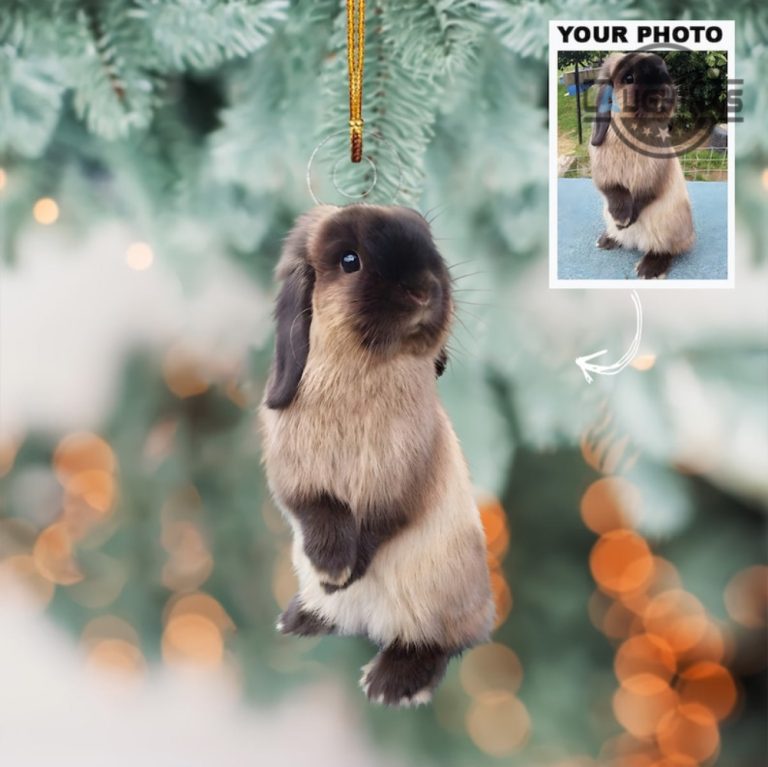 Rabbit Ornaments Custom Rabbit Photo Acrylic Ornament Personalized ...
